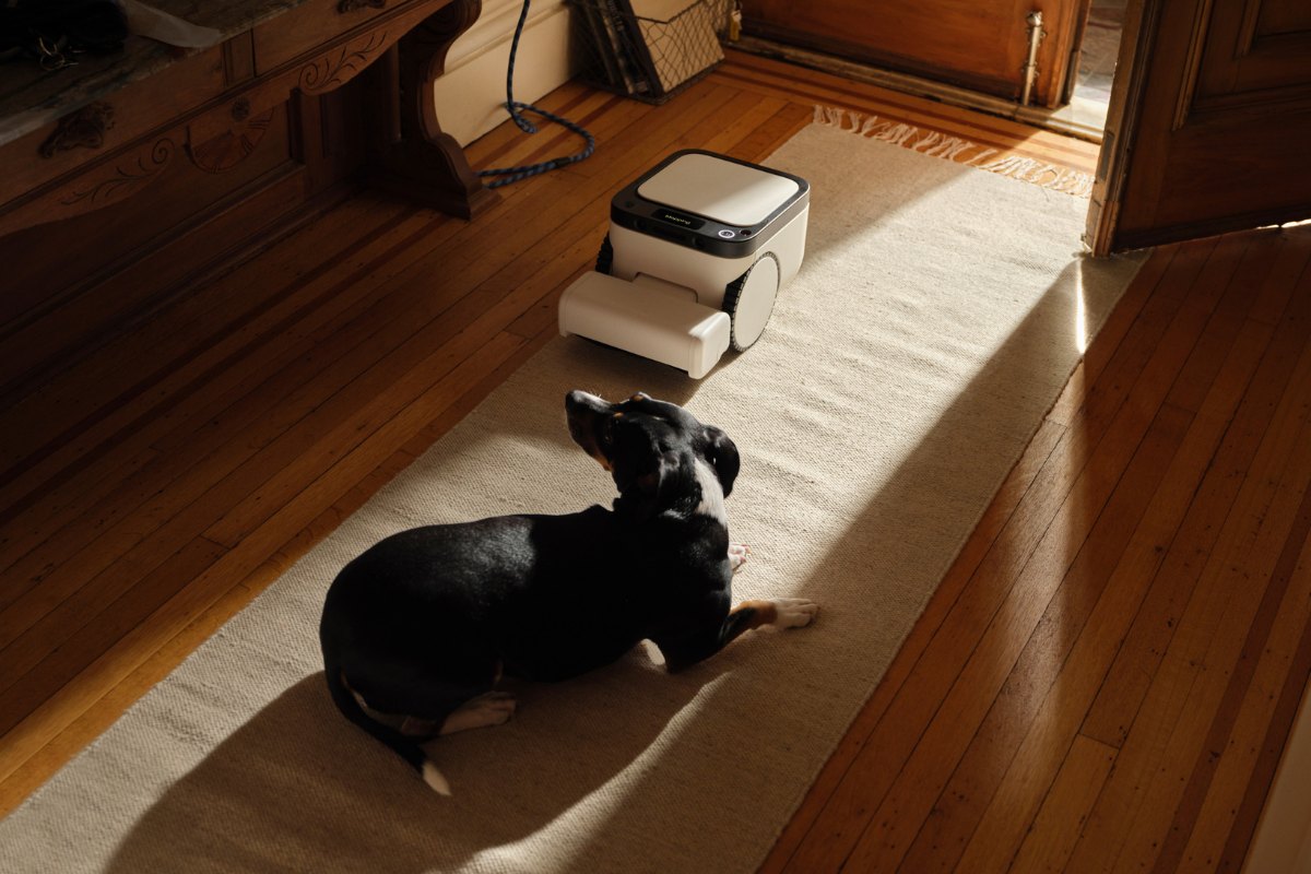 Matic announces its first robot vacuum cleaner - Vacuumtester